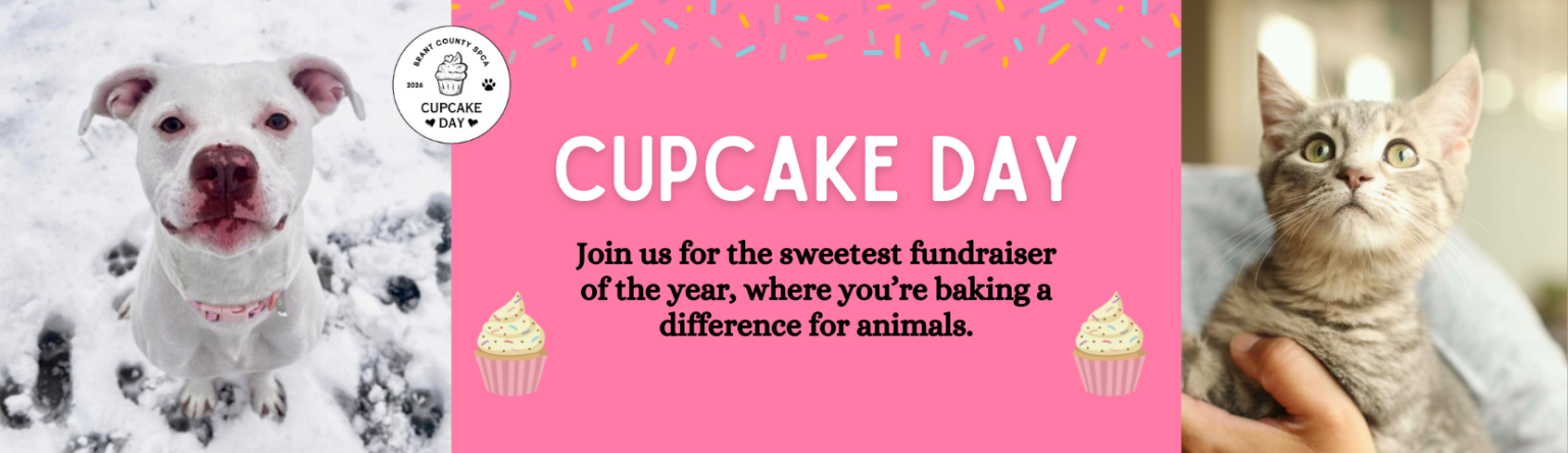 Cupcake Day 2026 | Brant County SPCA
