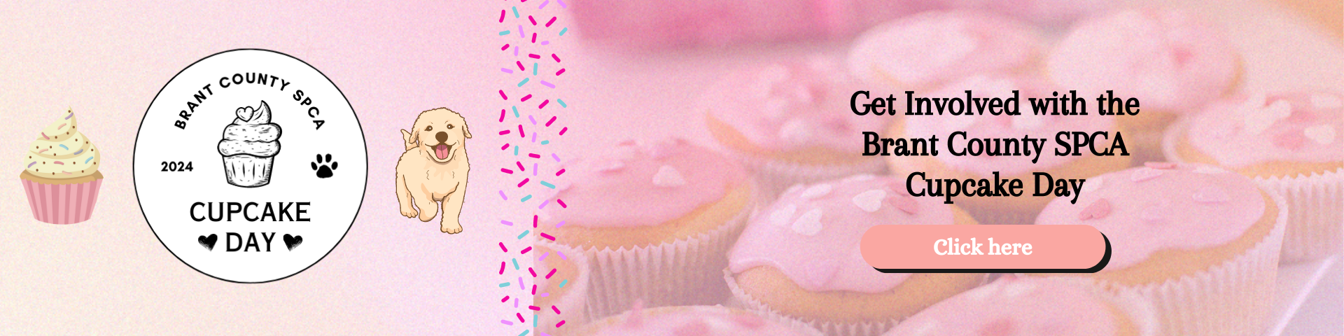 Cupcake Day | Brant County SPCA