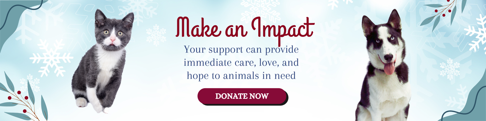 Website – Winter | Brant County SPCA
