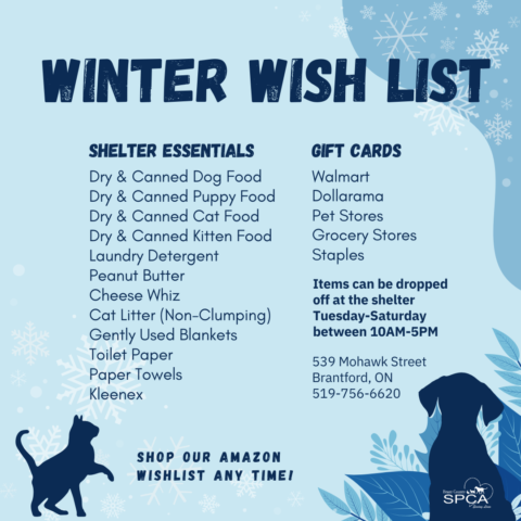 Winter Wish List | Brant County SPCA