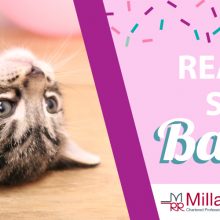 Brant County SPCA | Saving Lives