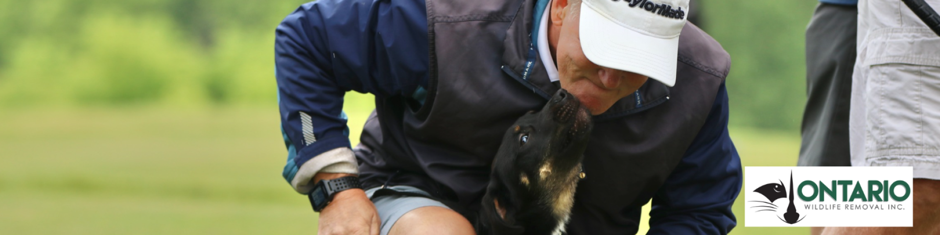 Brant County SPCA | Saving Lives